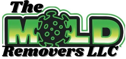Expert Mold Removal Services in Elizabethtown, PA | The Mold Removers LLC